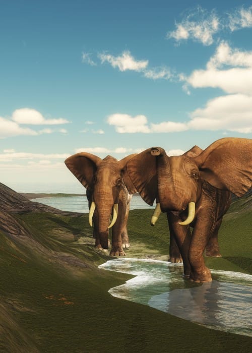 Exploring Elephant Safari Jaipur Day Trips with Elefanjoy